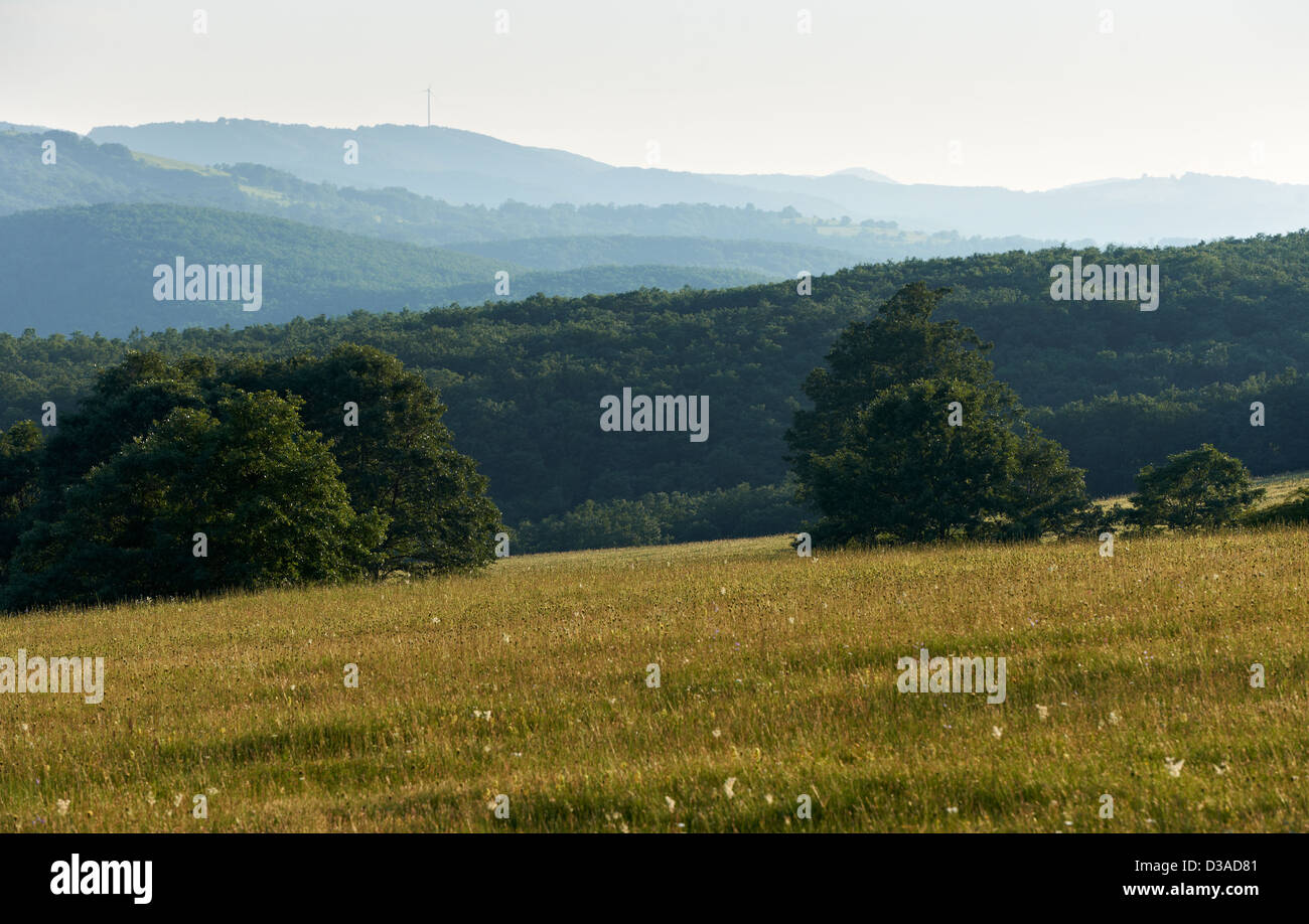 Summer landscape from central Bulgaria near Zheravna village, Sliven ...