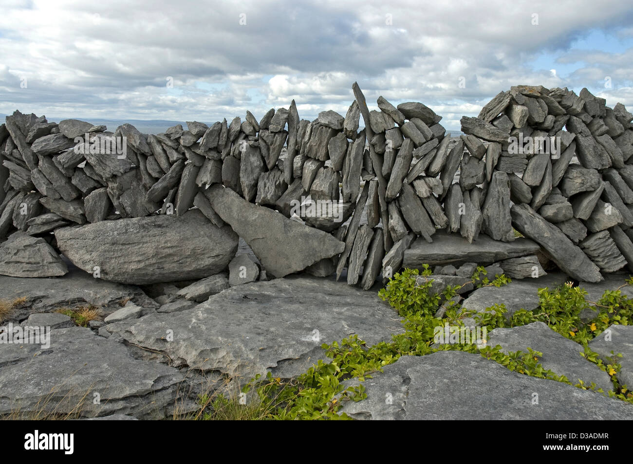 The Burren, Limestone Stone Walls, Co Clare Ireland Stock Photo - Alamy