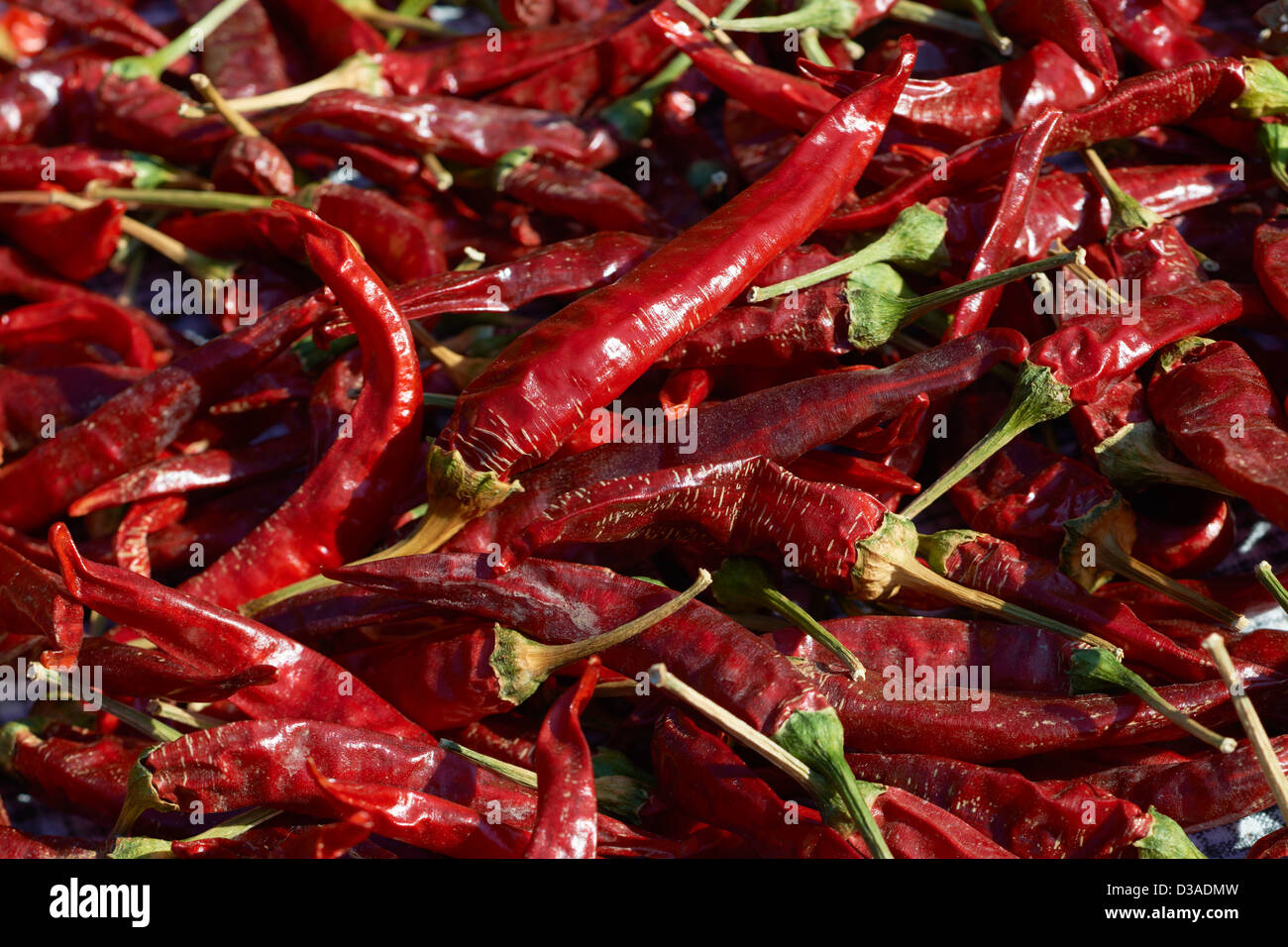 Dry red hot peppers for making chili spice Stock Photo - Alamy