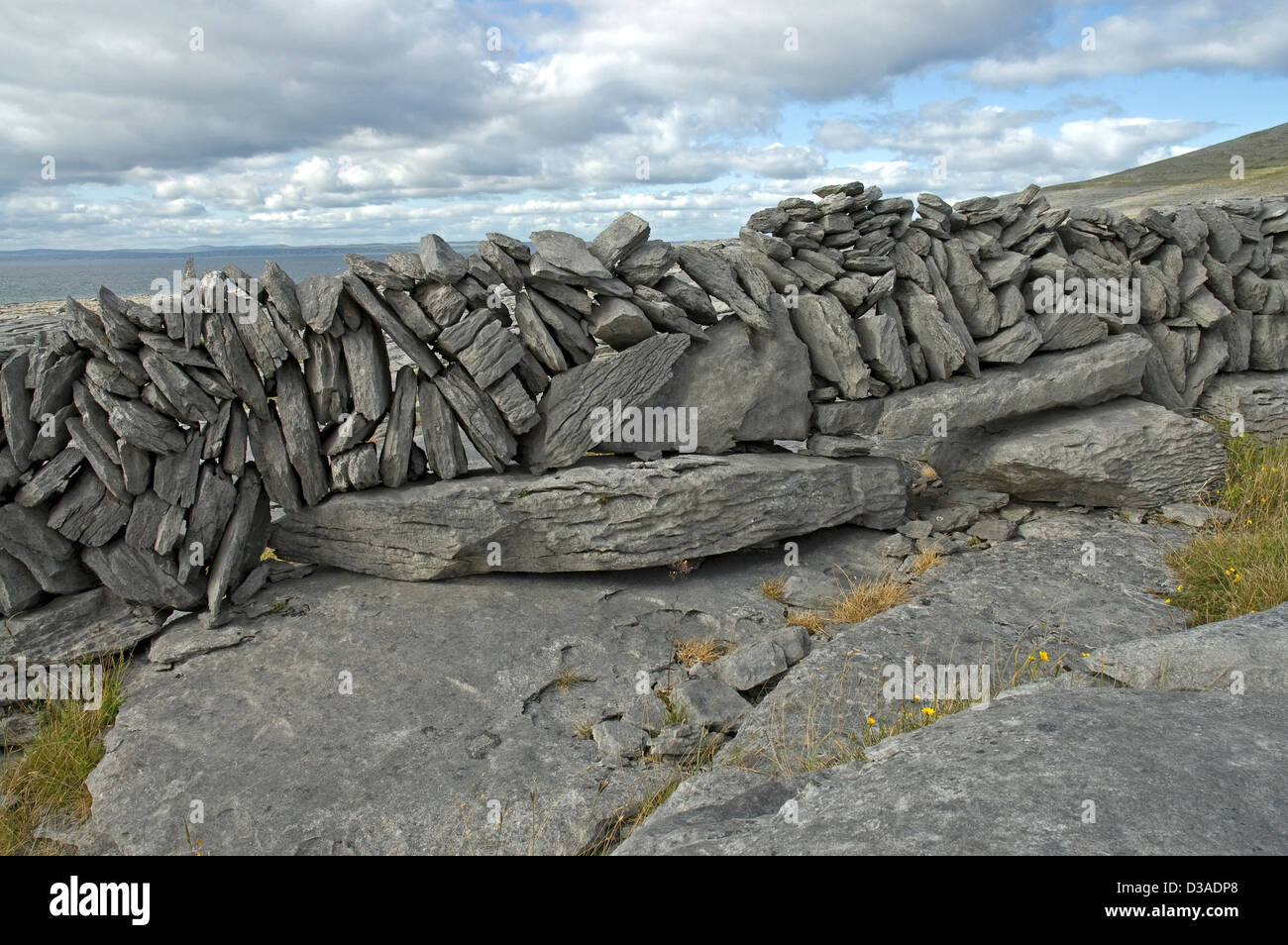 The Burren, Limestone Stone Walls, Co Clare Ireland Stock Photo - Alamy