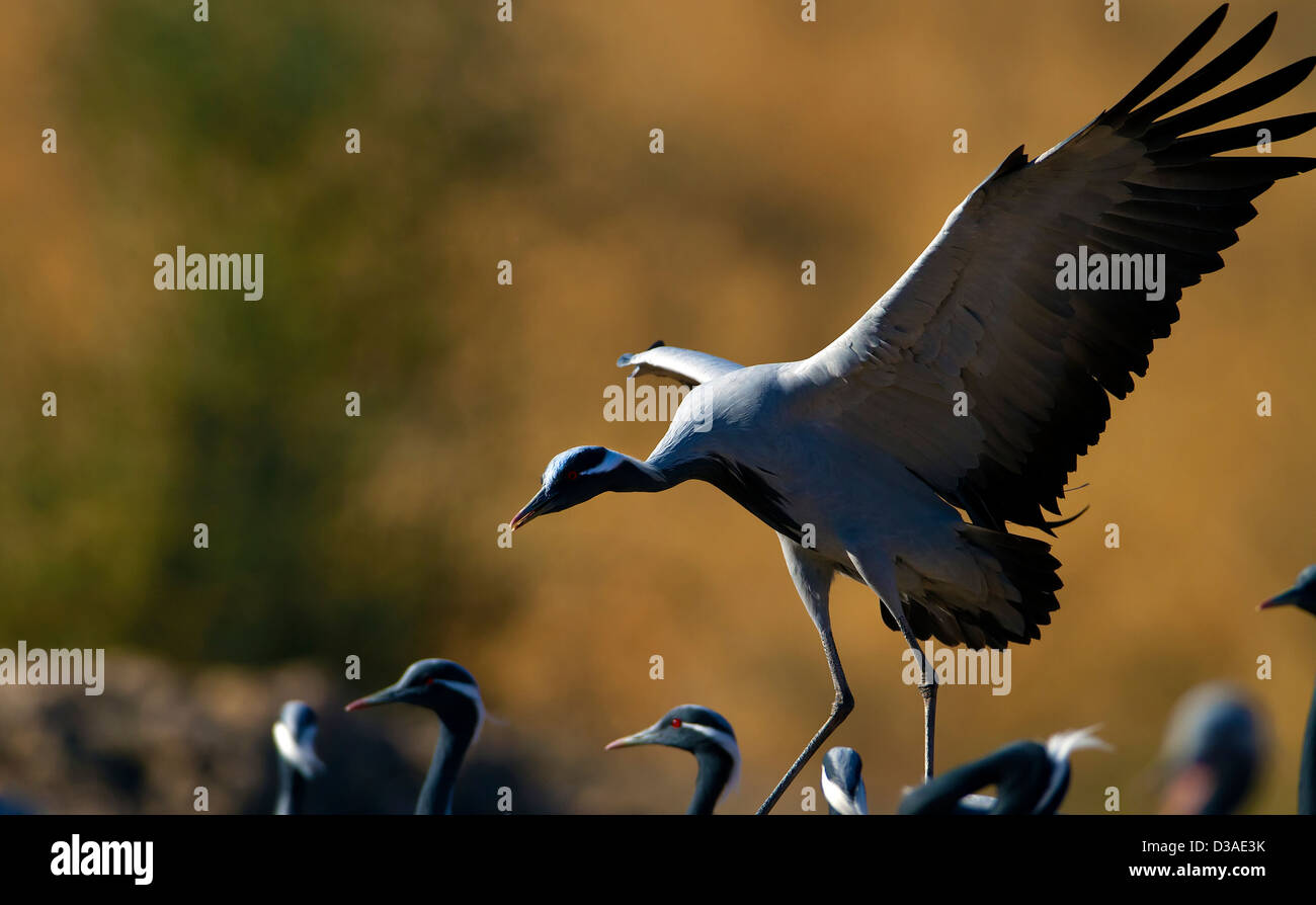Taking off activity hi-res stock photography and images - Alamy