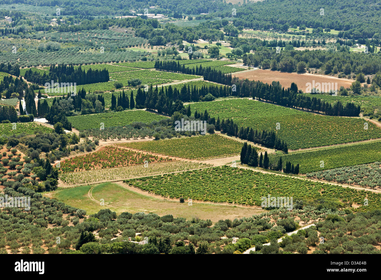 Landscape view from French Provence in summer season Stock Photo - Alamy