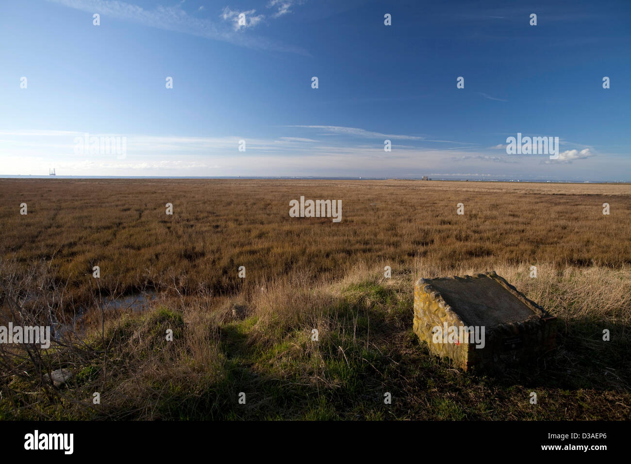 Welwick Chowder salt marsh land in the Humber Estuary Stock Photo - Alamy