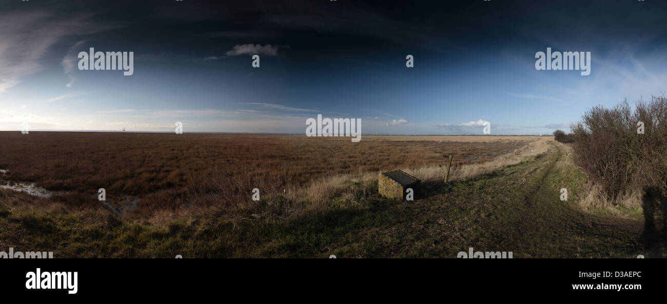 Welwick Chowder marsh land in the Humber Estuary Stock Photo - Alamy