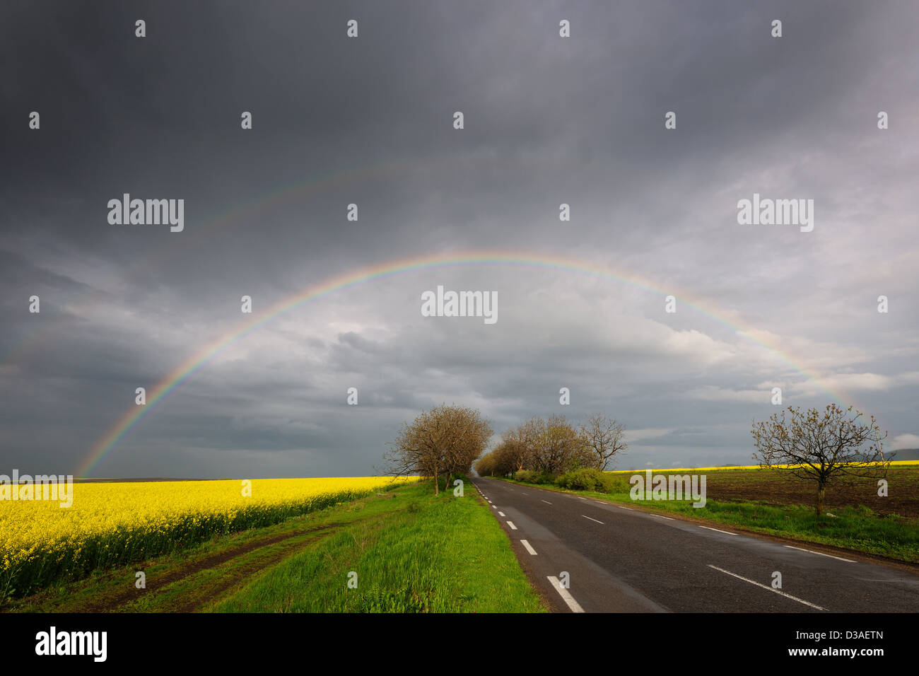 Spring scenery with rainbow over road Stock Photo - Alamy