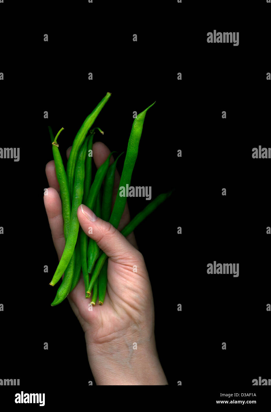 Hand full of green beans hi-res stock photography and images - Alamy