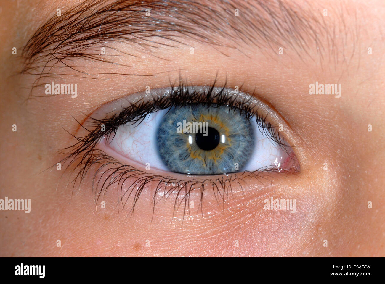 Human eye close-up Stock Photo - Alamy