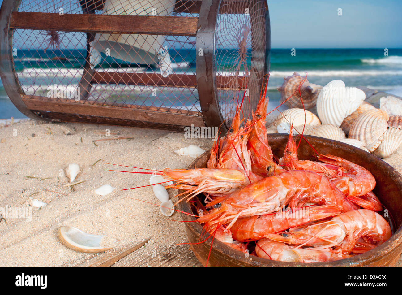 Raw red prawns with a maritime background of sand, seashells, a ...