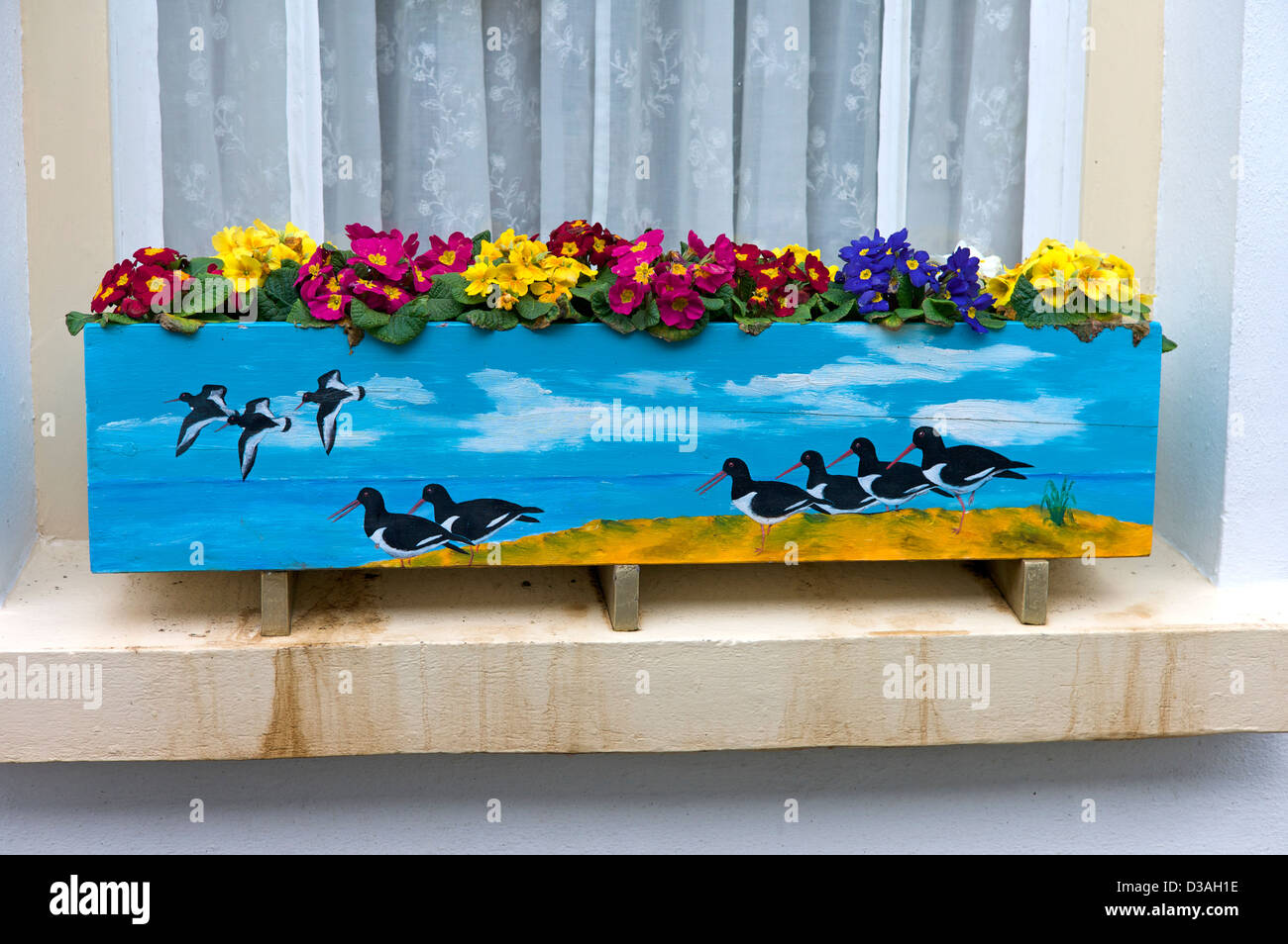 Decorative window box, UK Stock Photo - Alamy