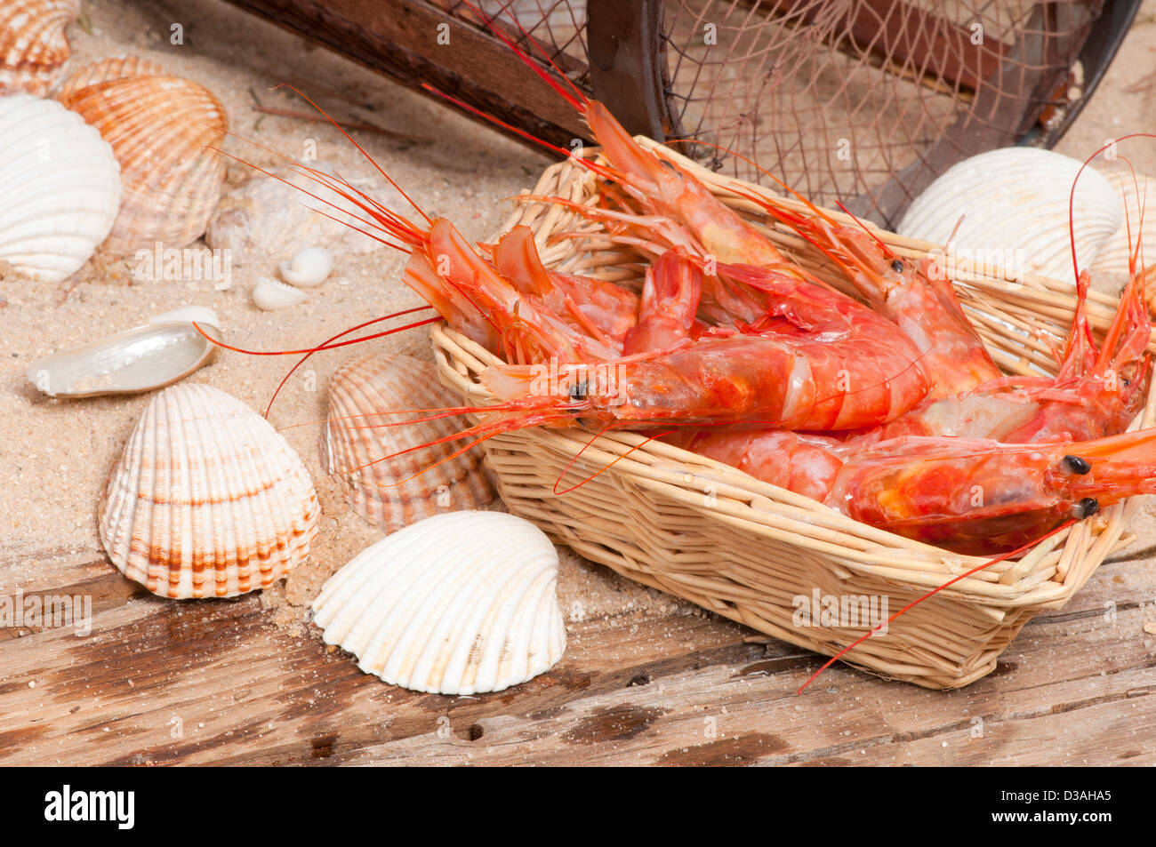 Raw red prawns with a maritime background of sand, seashells, a ...