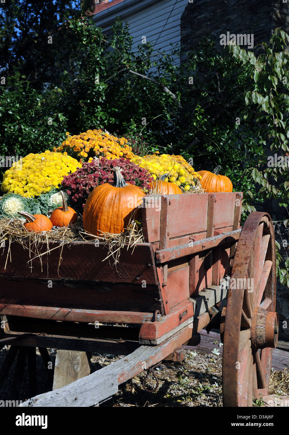 Autumn flowers and pumpkins in old wagon Shepherdstown West Virginia ...