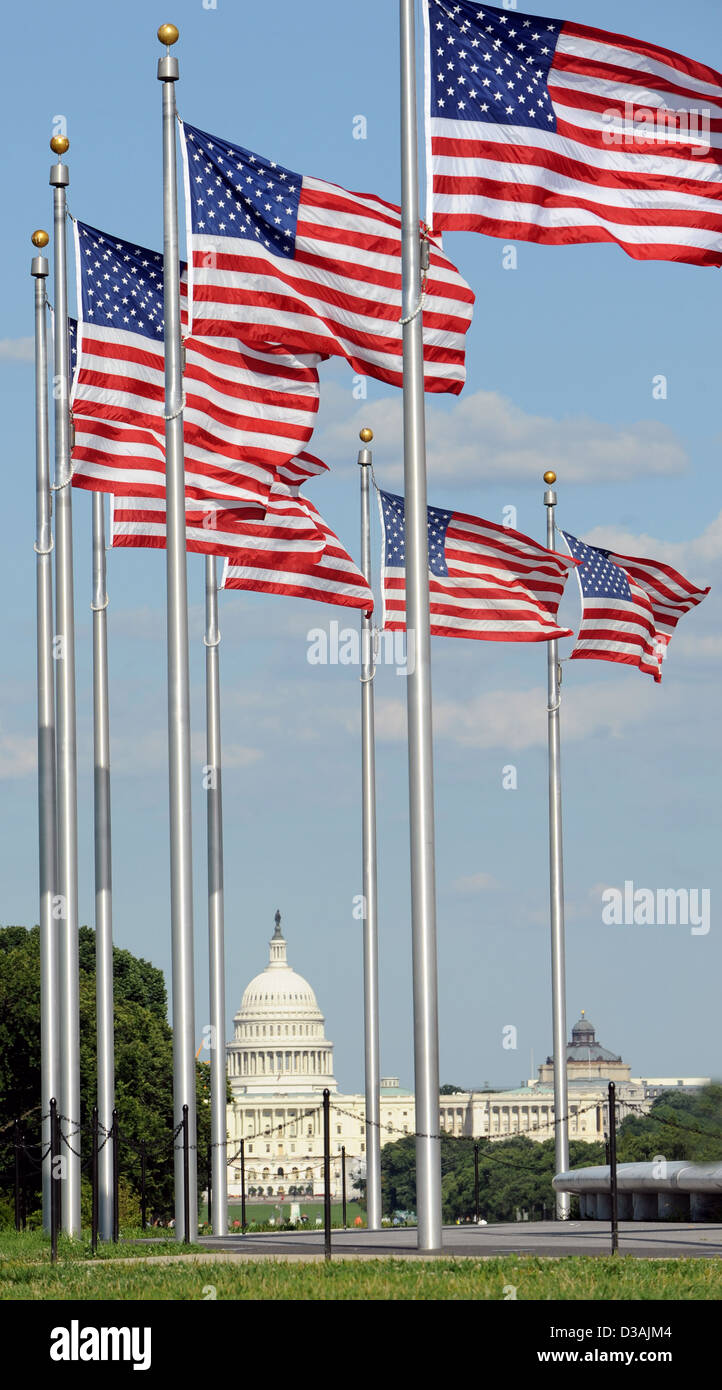 United States Capitol with American flags Washington DC, USA Stock ...