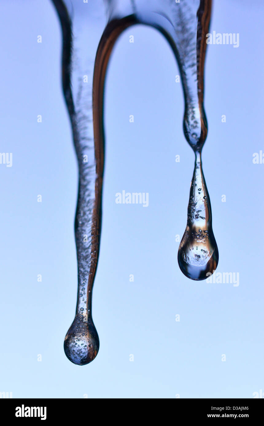 Water droplets dripping from icicle, Wallowa Valley, Oregon Stock Photo ...