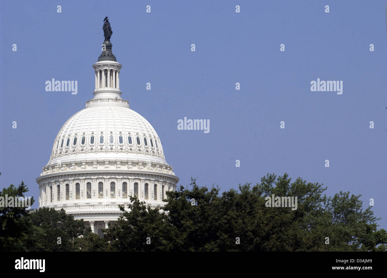 United States Capitol dome with dark blue sky and trees in foreground ...