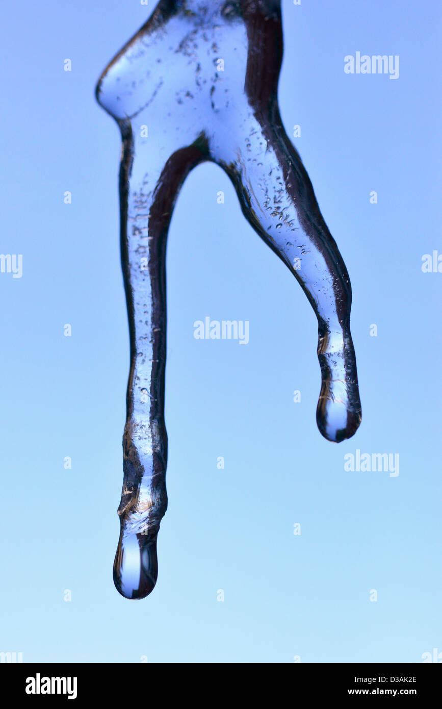 Water droplets dripping from icicles, Wallowa Valley, Oregon Stock ... Water droplets dripping from icicles, Wallowa Valley, Oregon Stock ...