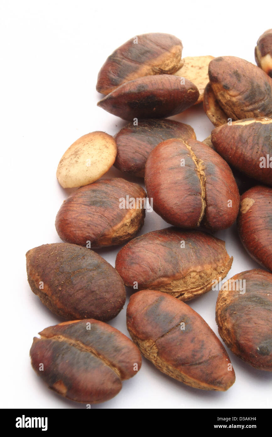 Close-up of fresh roasted seeds of krabok (Irvingia malayana Stock ...