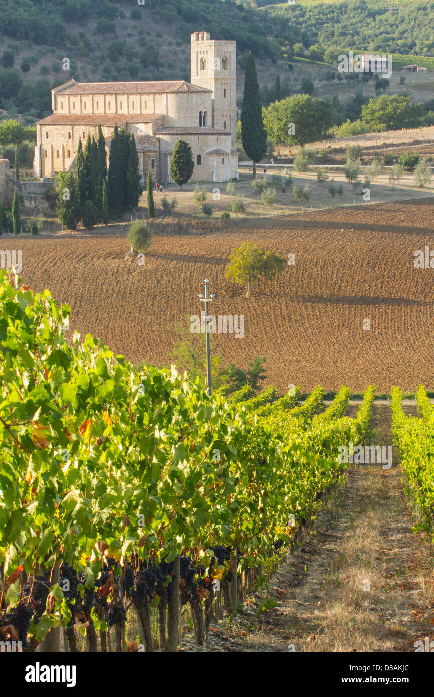 Abbey of San Antimo, Castelnuovo dell'Abate, Montalcino, Tuscany, Italy ...