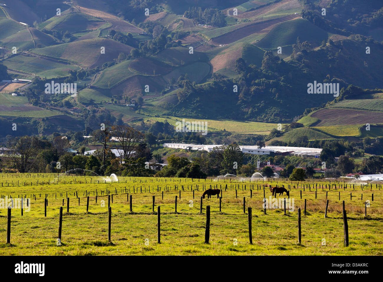 Farmland in the area of Volcan Baru, Cerro Punta, Chiriqui, Panama ...
