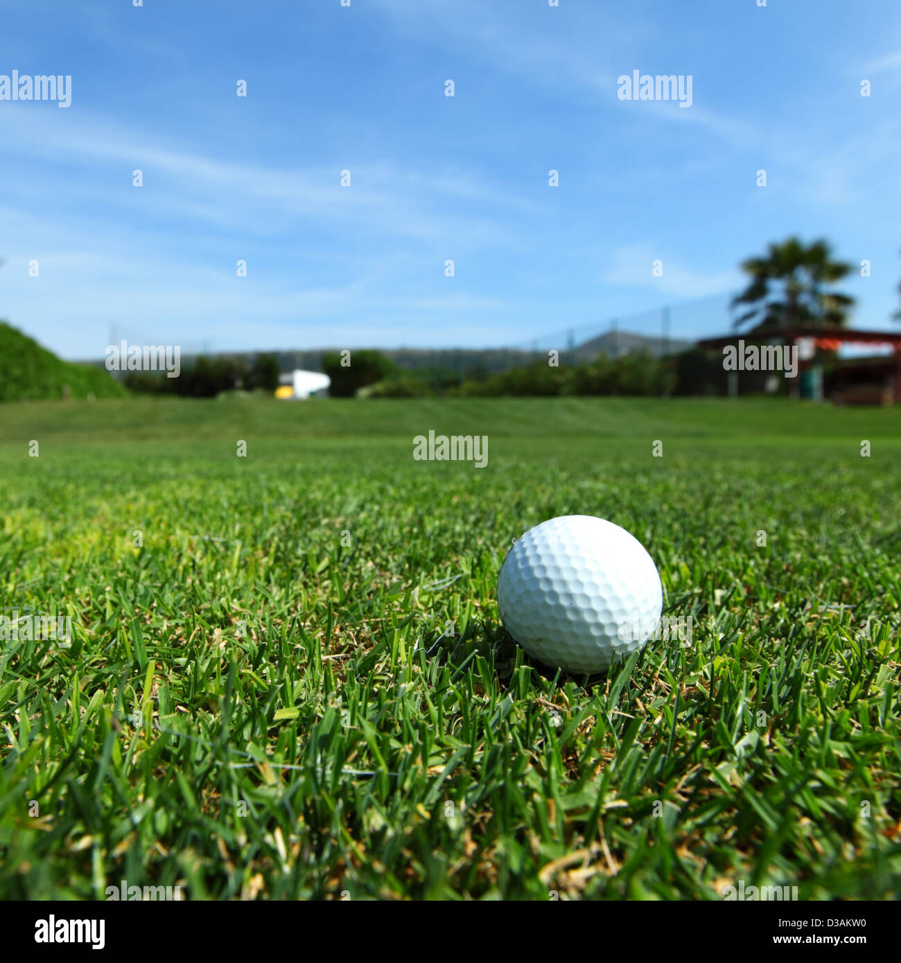 golf-ball on course Stock Photo - Alamy