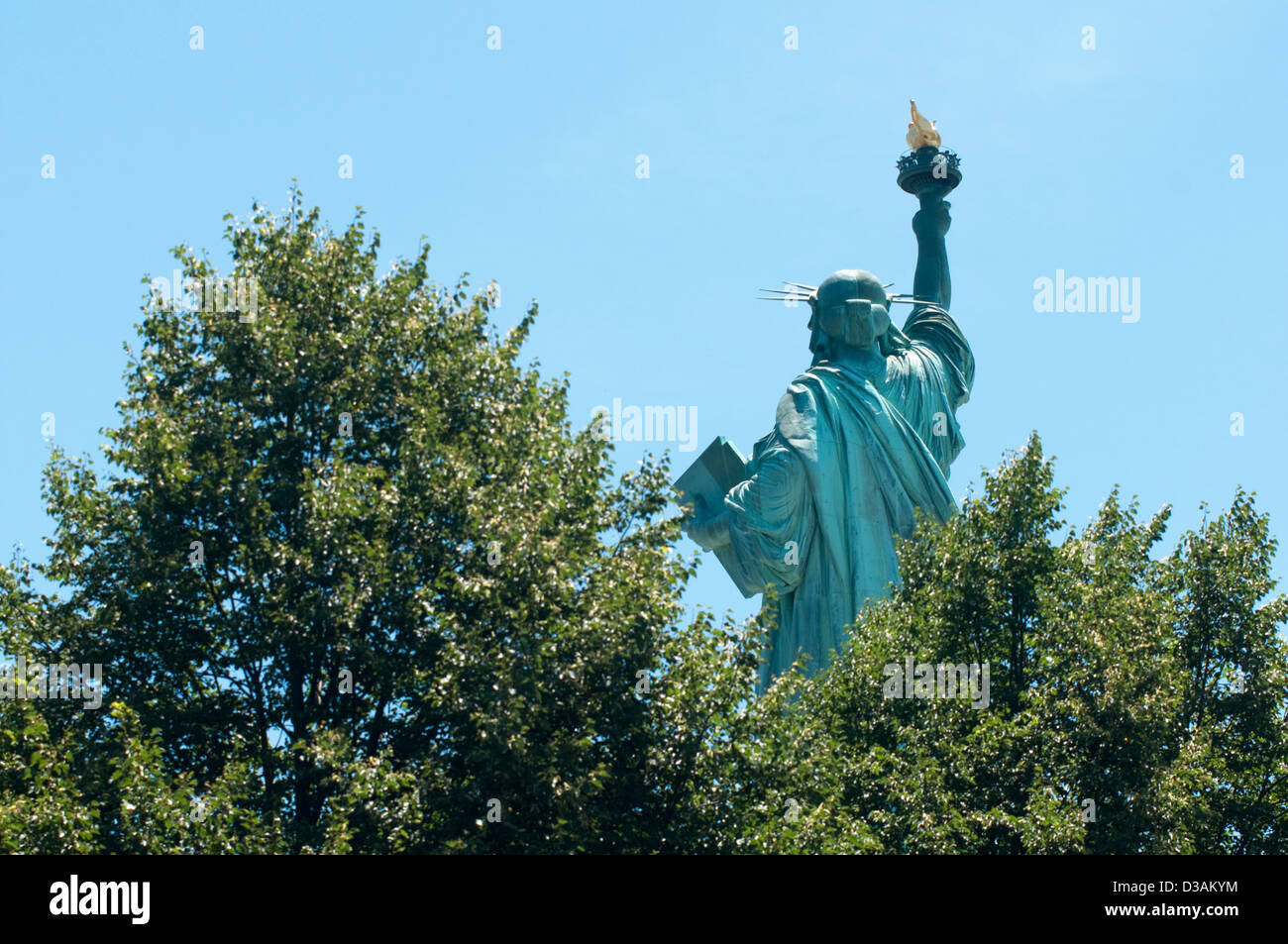 Liberty tree america hi-res stock photography and images - Alamy