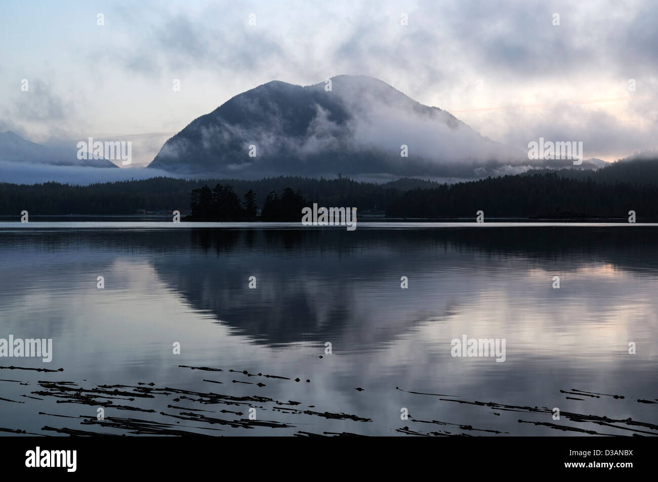 Clayoquot sound unesco biosphere reserve hi-res stock photography and ...