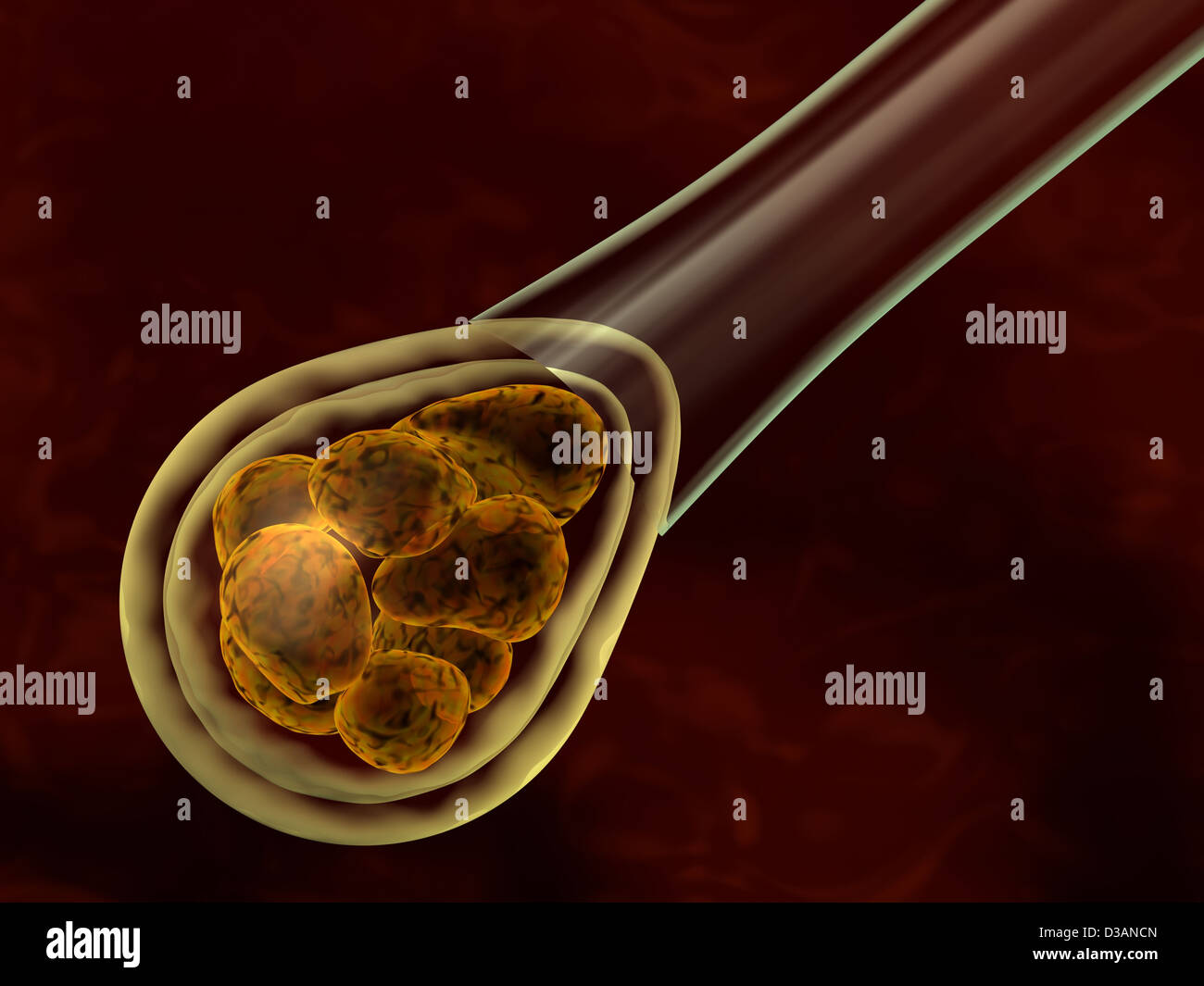 3d rendered biotechnology concept with pre-embryo Stock Photo - Alamy