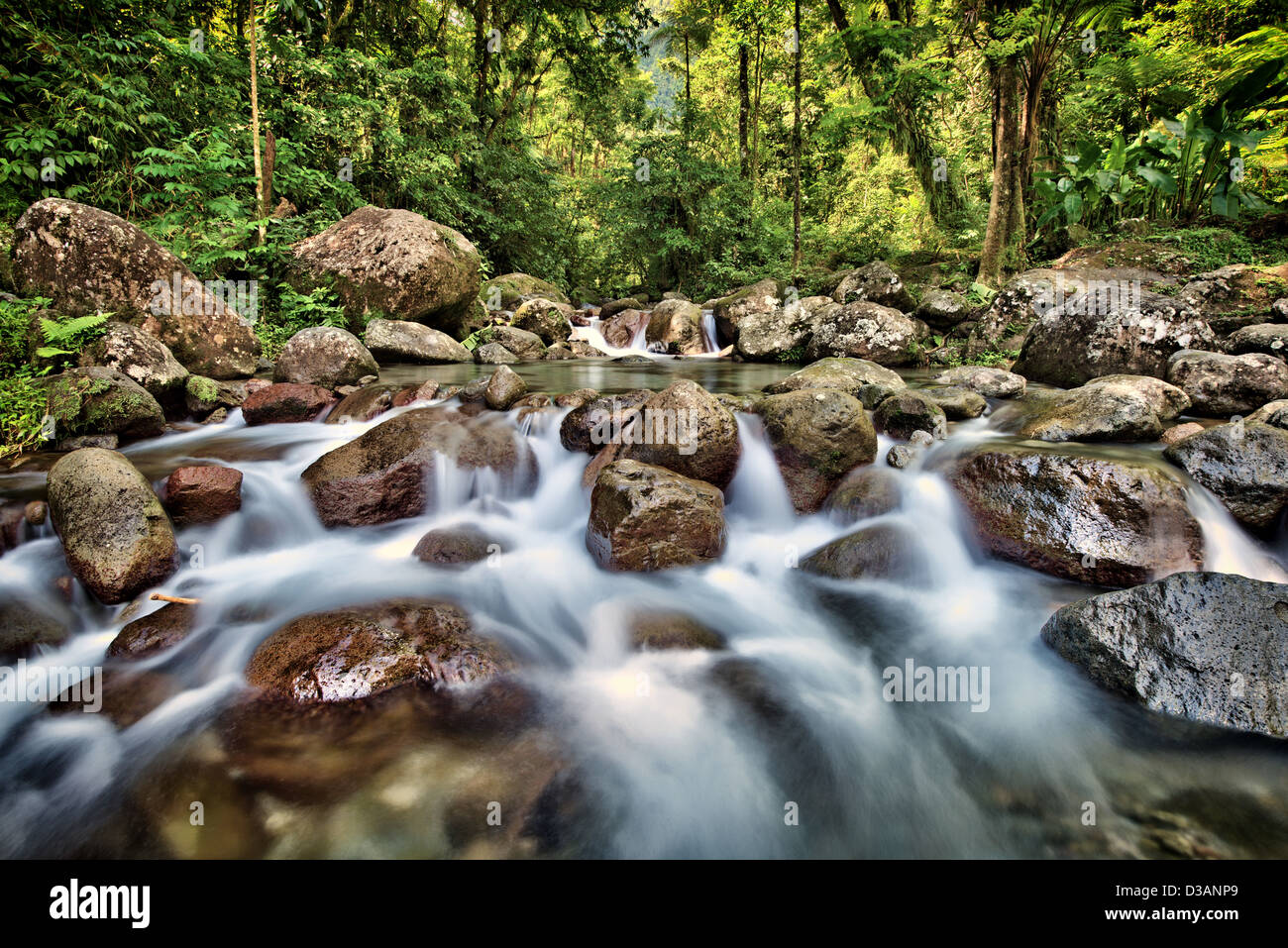 Riviere de l'alma, Martinique, France Alma River, Martinique island ...