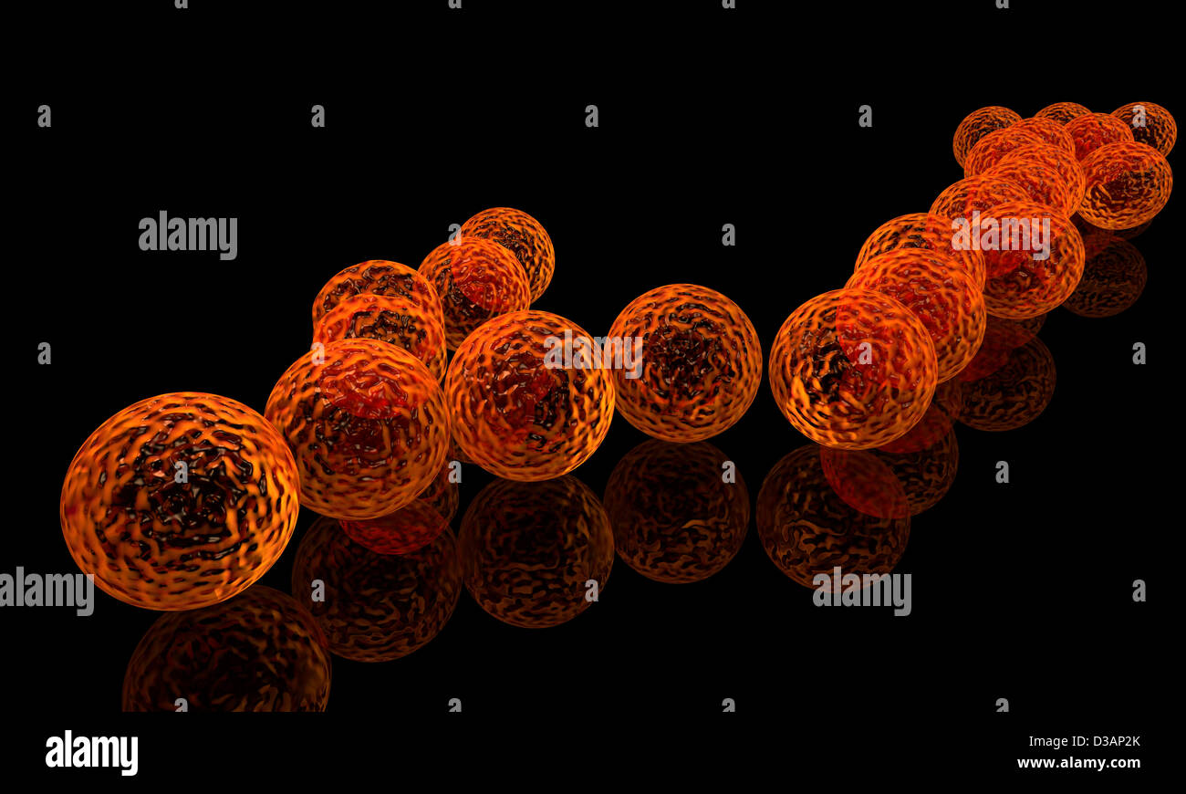 Coccus Bacteria High Resolution Stock Photography and Images - Alamy