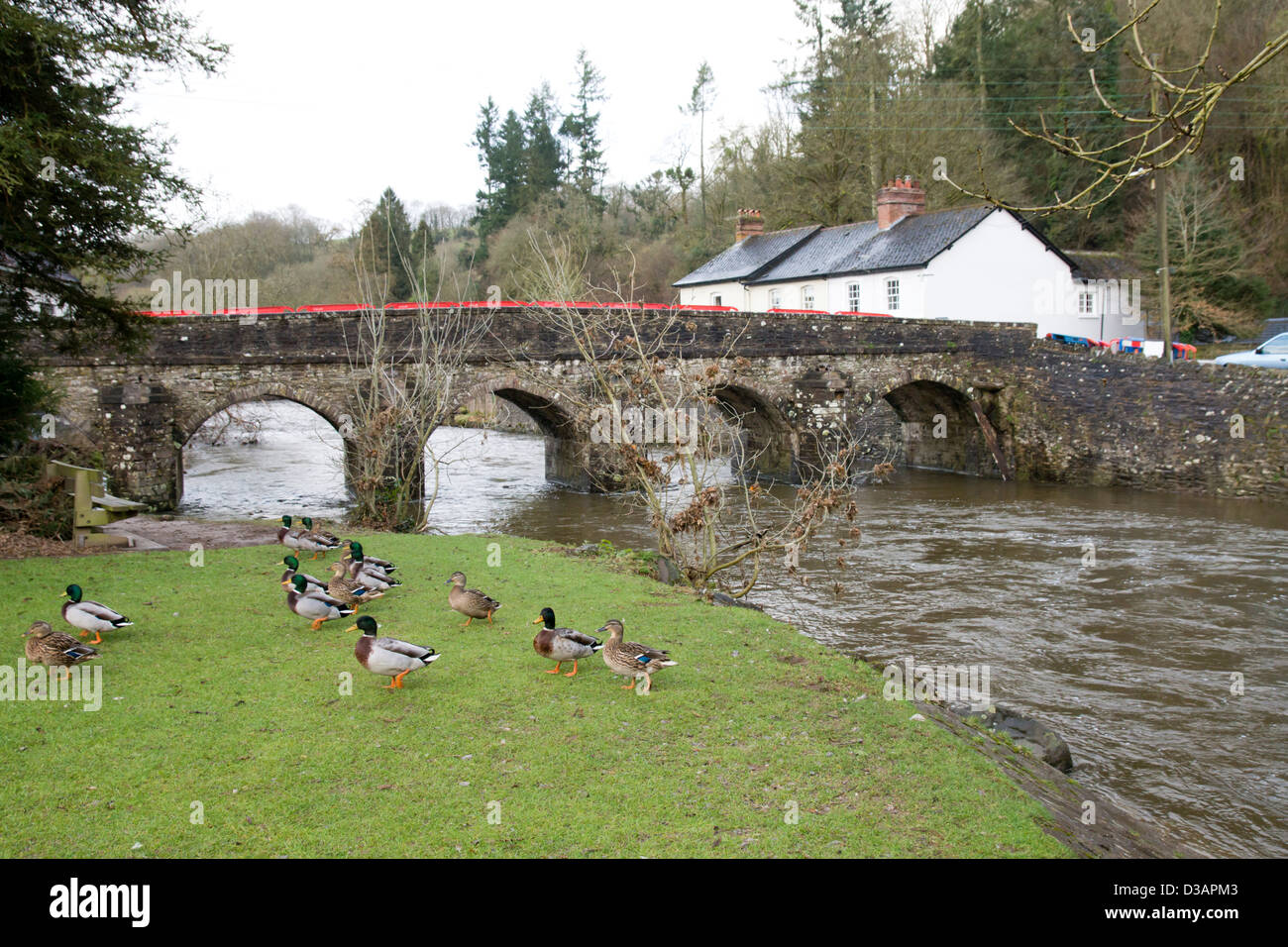Dulverton, a small town in west Somerset on the edge of Exmoor. The ...