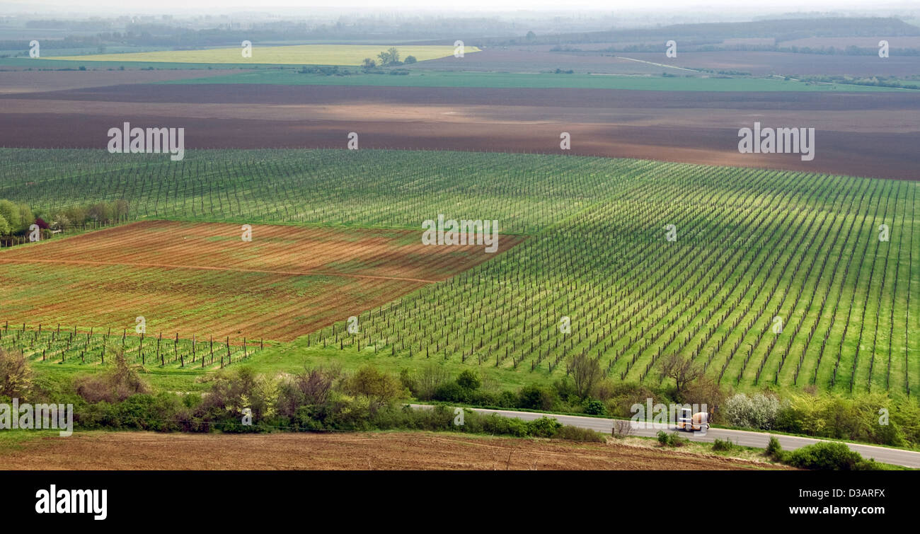 Landscape with vineyard Stock Photo - Alamy
