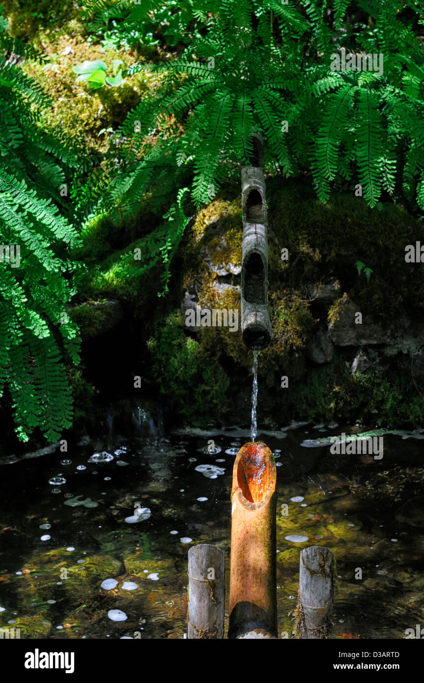 Bamboo garden pond High Resolution Stock Photography and Images - Alamy