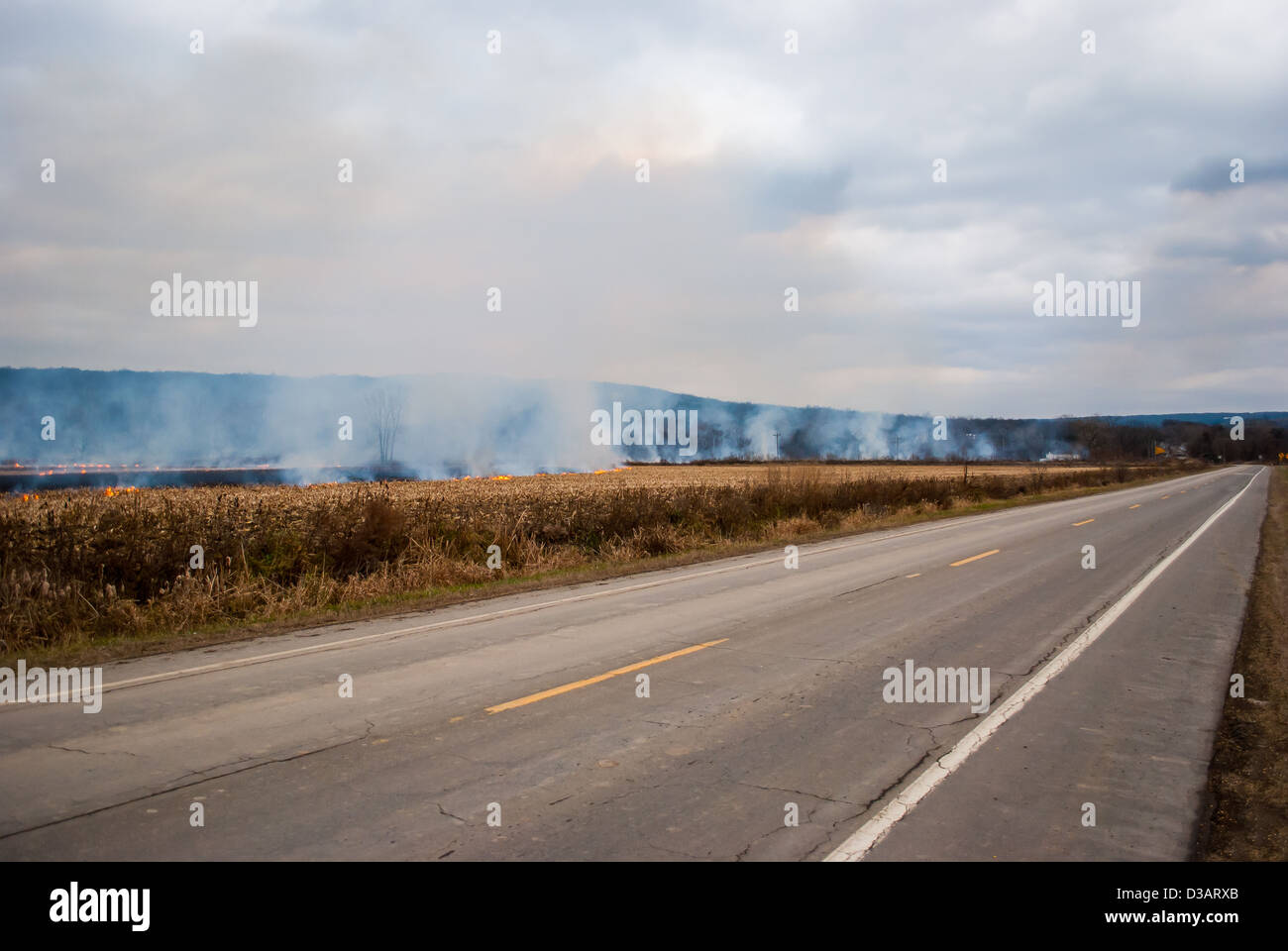 Photograph of a controlled agricultural burn set to clear a field after ...