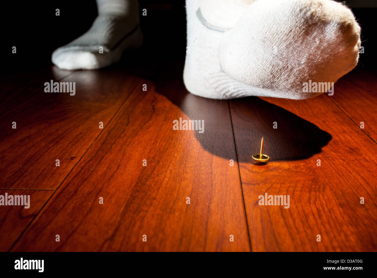 Photograph of a human foot about to step on an upright tack on a wooden ...