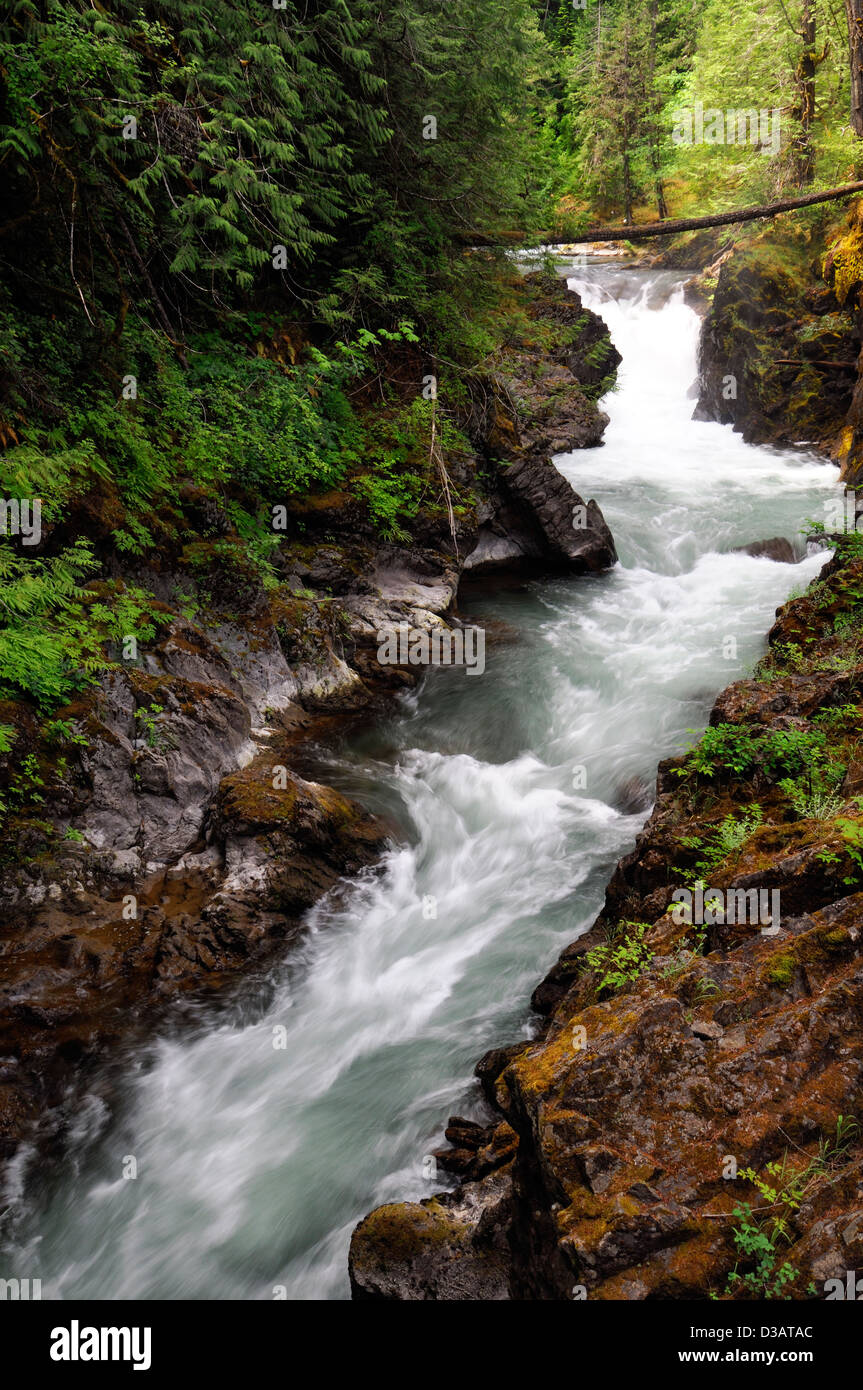 Little qualicum river falls provincial park hi-res stock photography ...