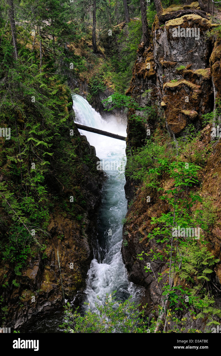 Waterfall falls river whitewater Little Qualicum Falls Provincial Park ...