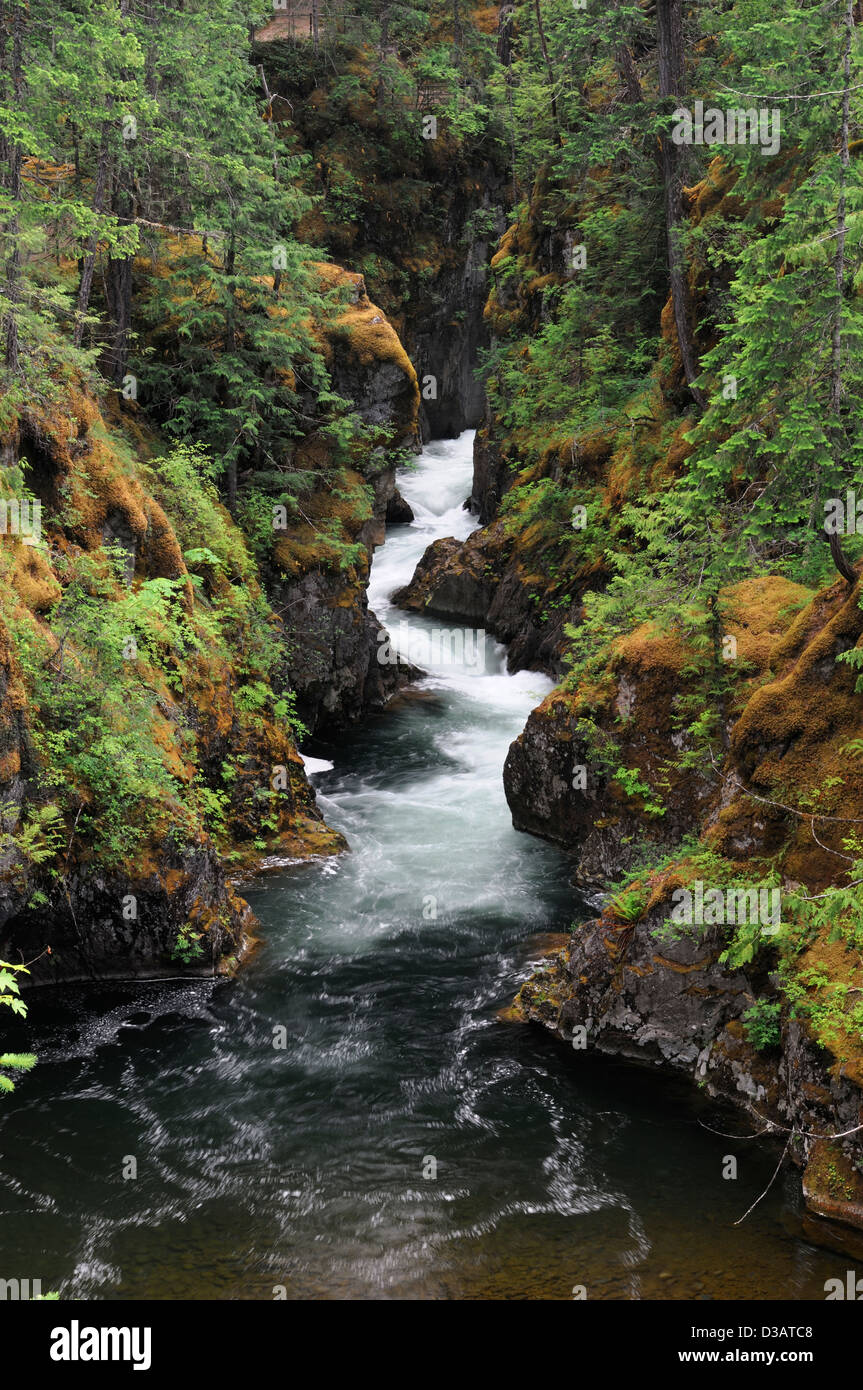 Waterfall falls river whitewater Little Qualicum Falls Provincial Park ...