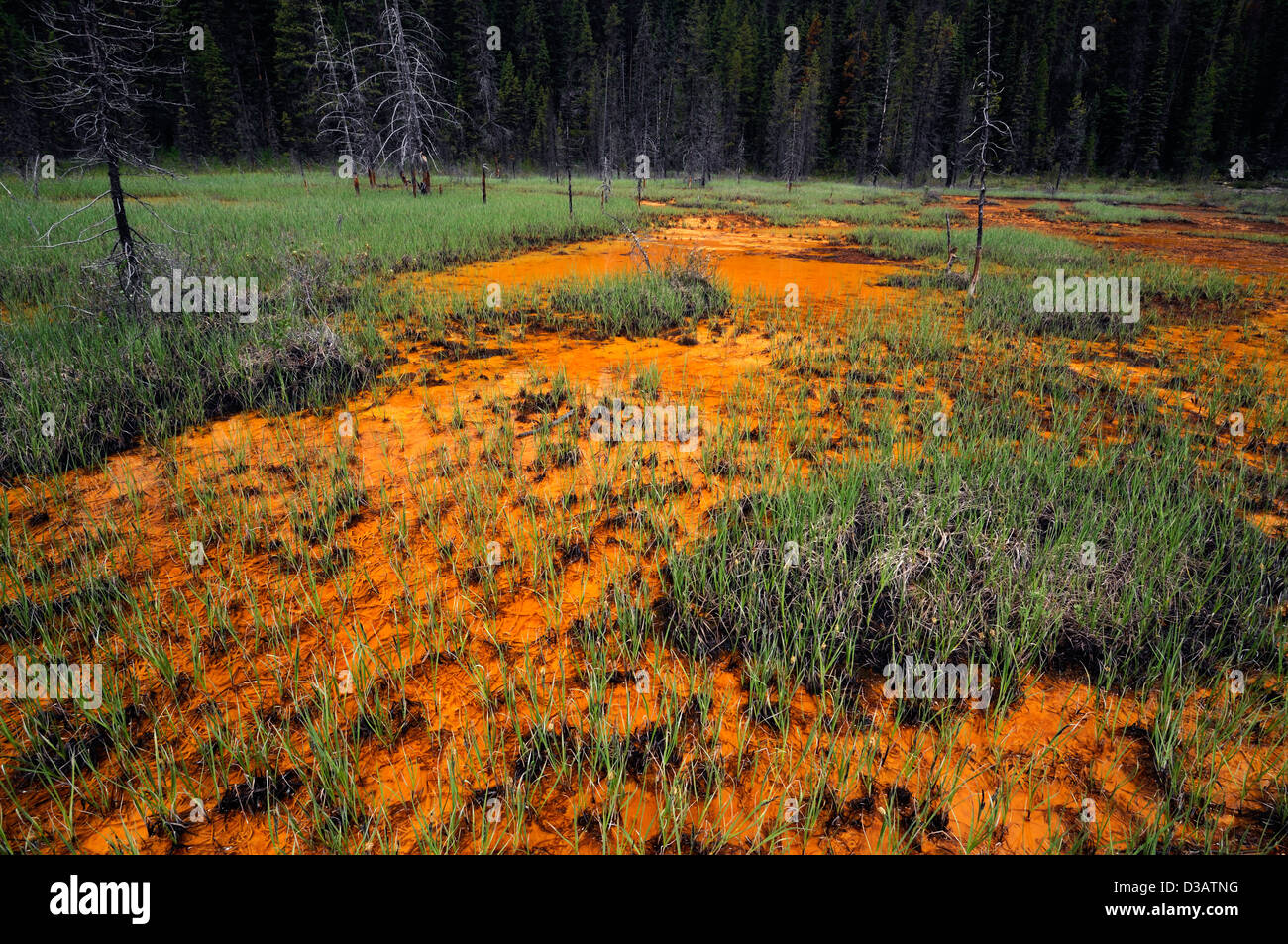 Ochre Color Stock Photos & Ochre Color Stock Images - Alamy