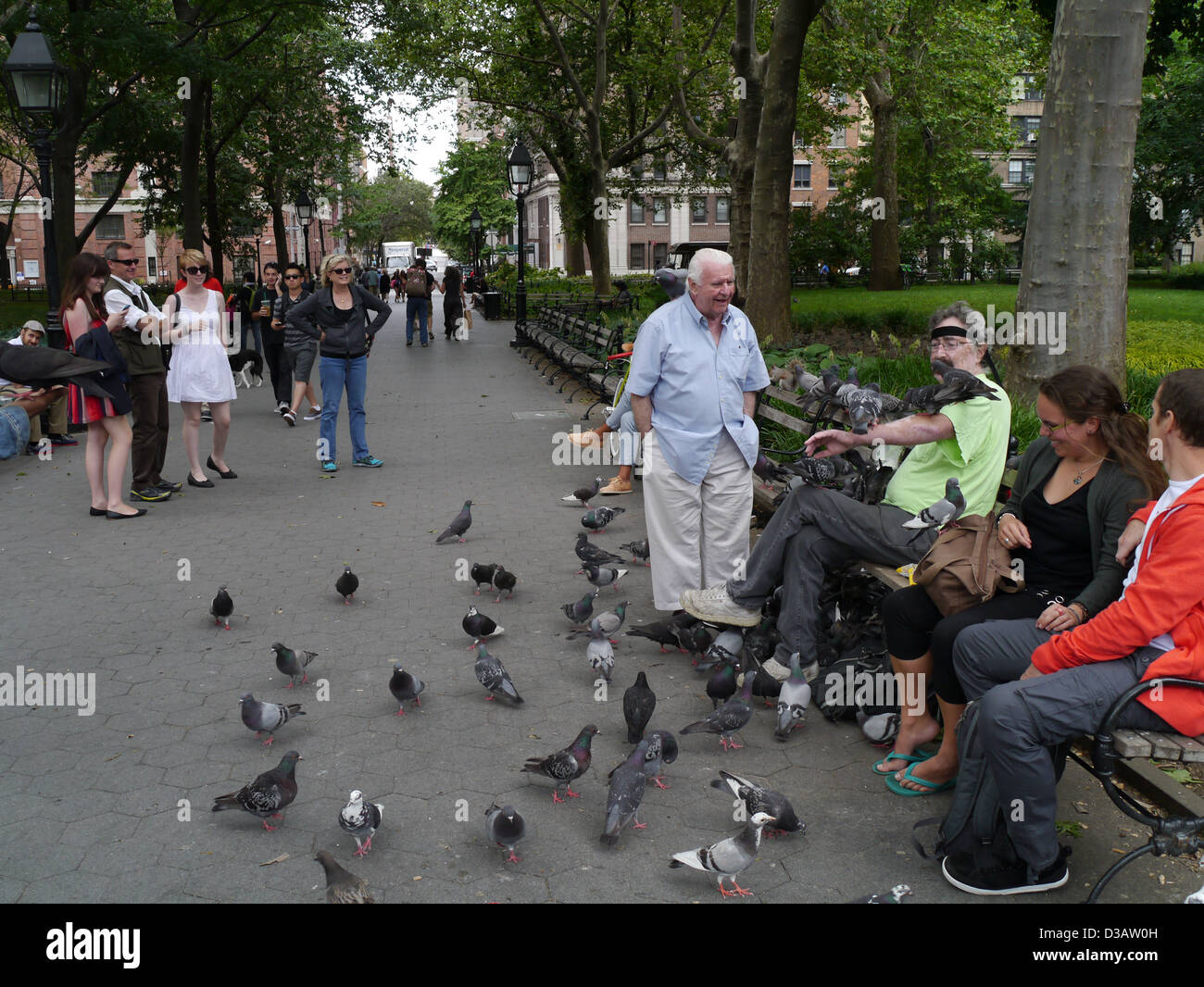 Pigeon New York City High Resolution Stock Photography and Images - Alamy