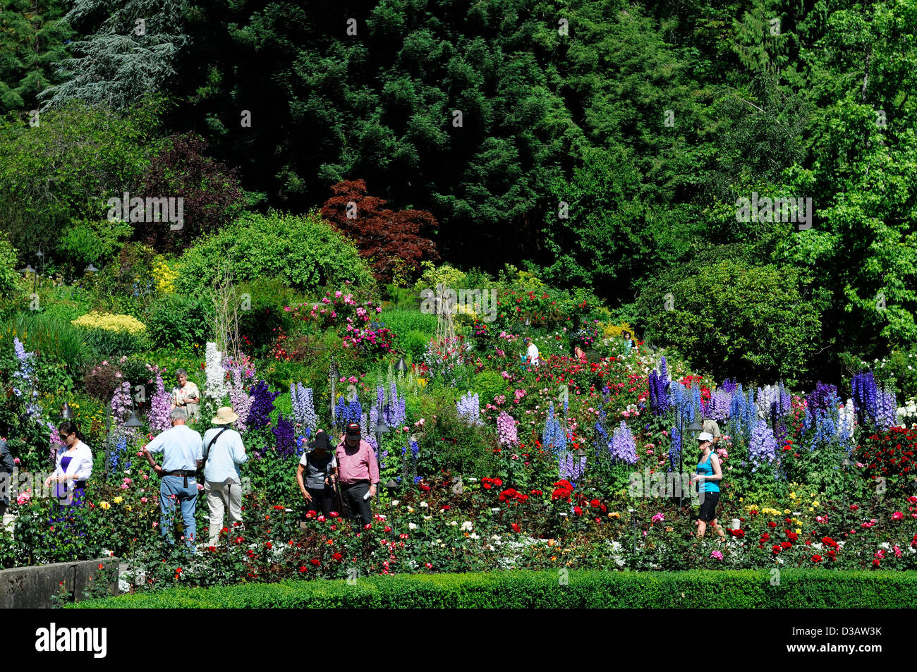 Butchart gardens canada hi-res stock photography and images - Alamy