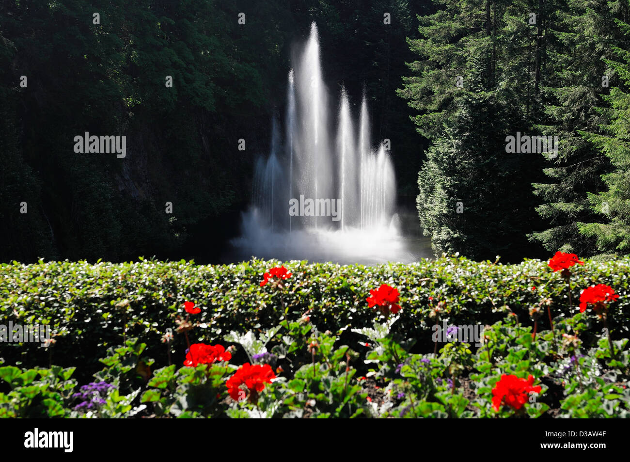 Ross fountain butchart gardens victoria hi-res stock photography and ...