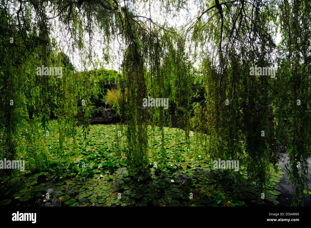 Ming sen hi-res stock photography and images - Alamy