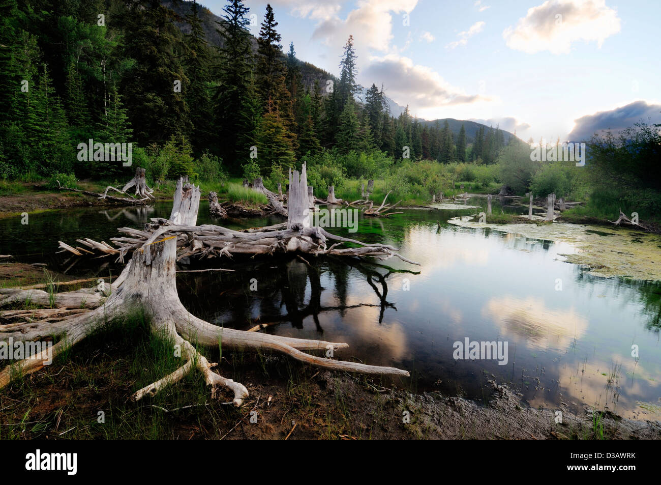 Vermillion Lakes Banff National Park Alberta Canada Reflection ...