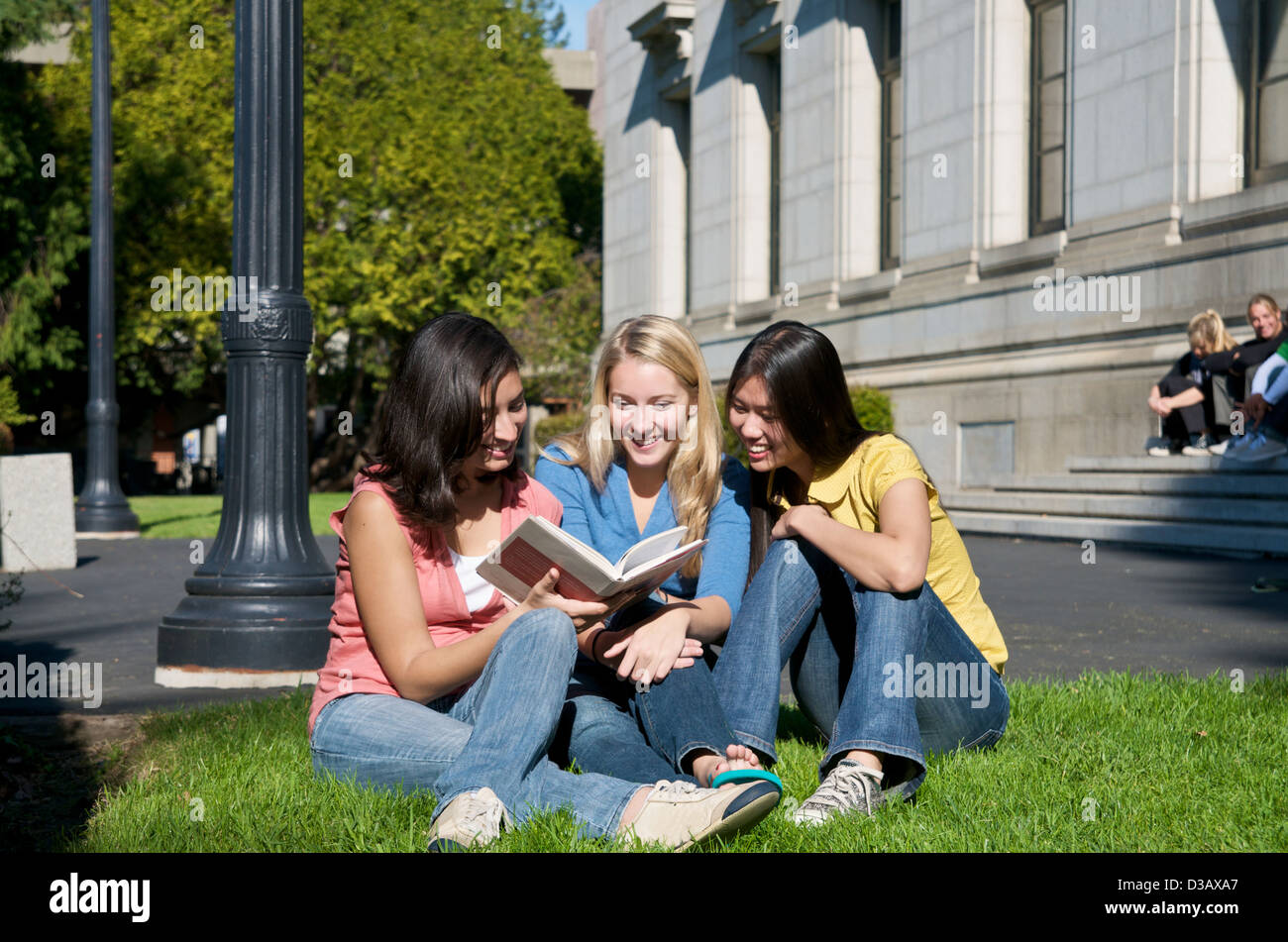 Group of Female girls studying outdoor in America Stock Photo - Alamy