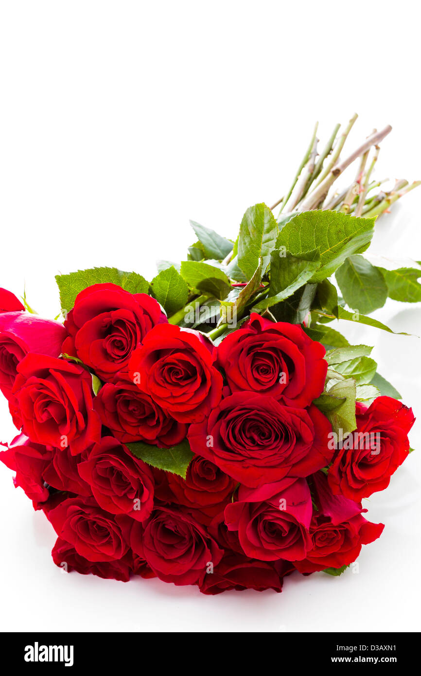 Close-up of red roses on white background Stock Photo - Alamy