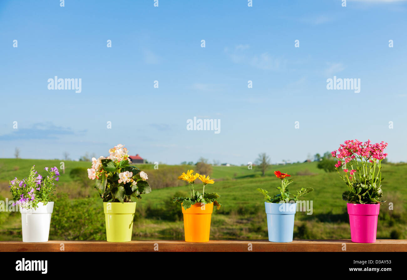 Country garden flower pots hi-res stock photography and images - Alamy
