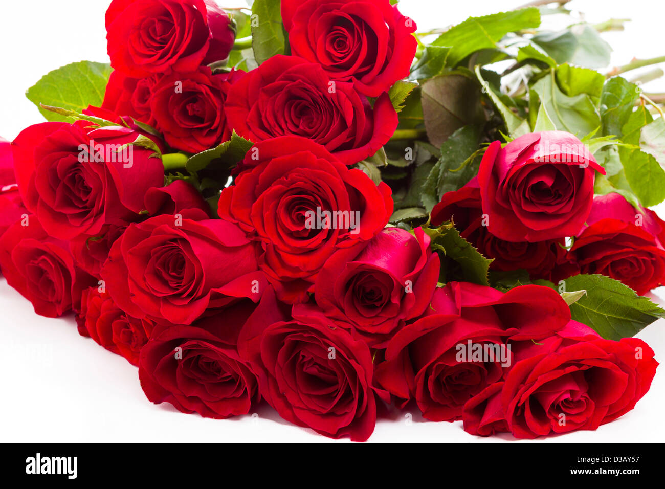 Close-up of red roses on white background Stock Photo - Alamy