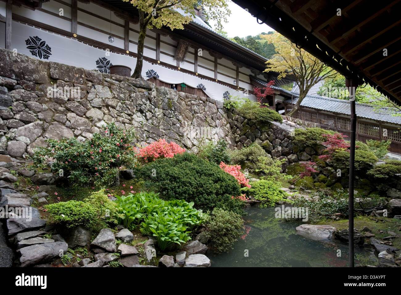 Red azalea bushes add color to the hillside courtyard landscape garden ...