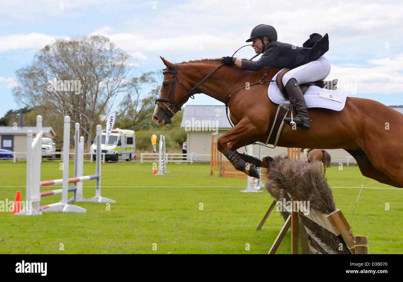 Show jumpers, Tuatapere local agricultural and farming show, equestrian ...