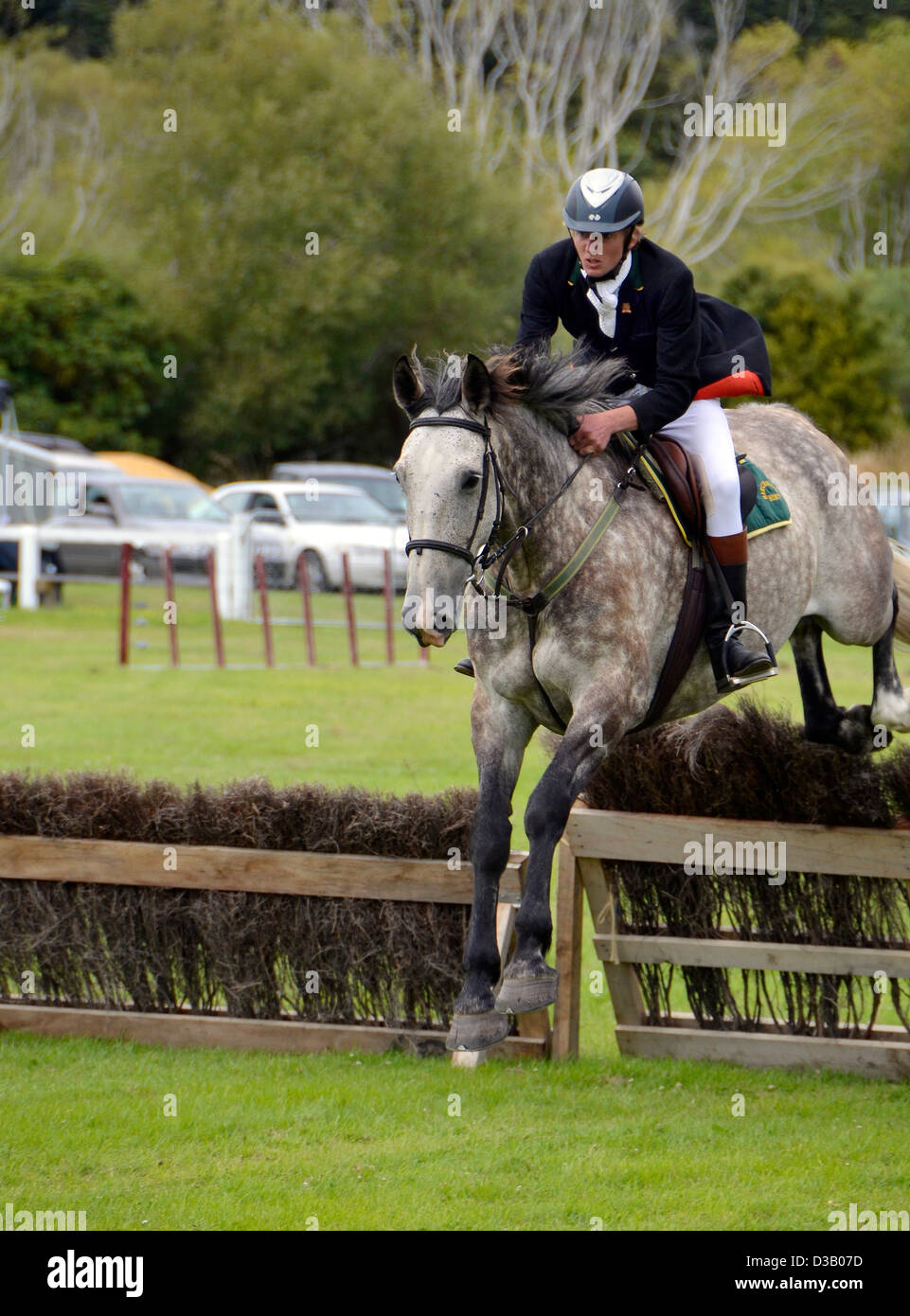 Show jumpers, Tuatapere local agricultural and farming show, equestrian ...