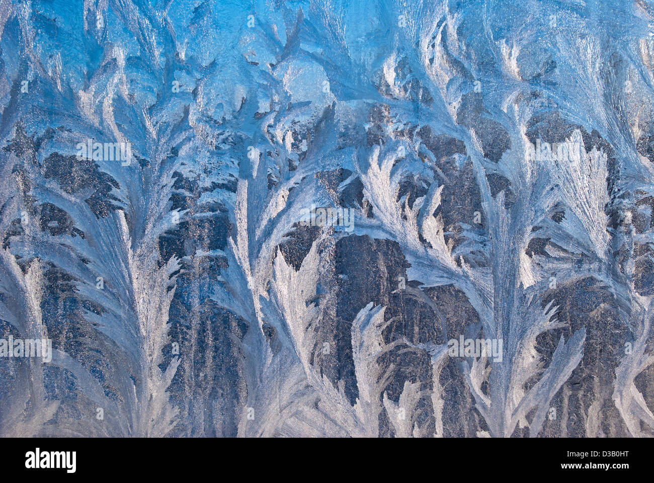 Frosty patterns on a window-glass Stock Photo - Alamy